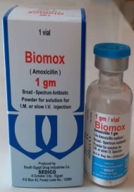 Biomox Vial 1000mg or 1g